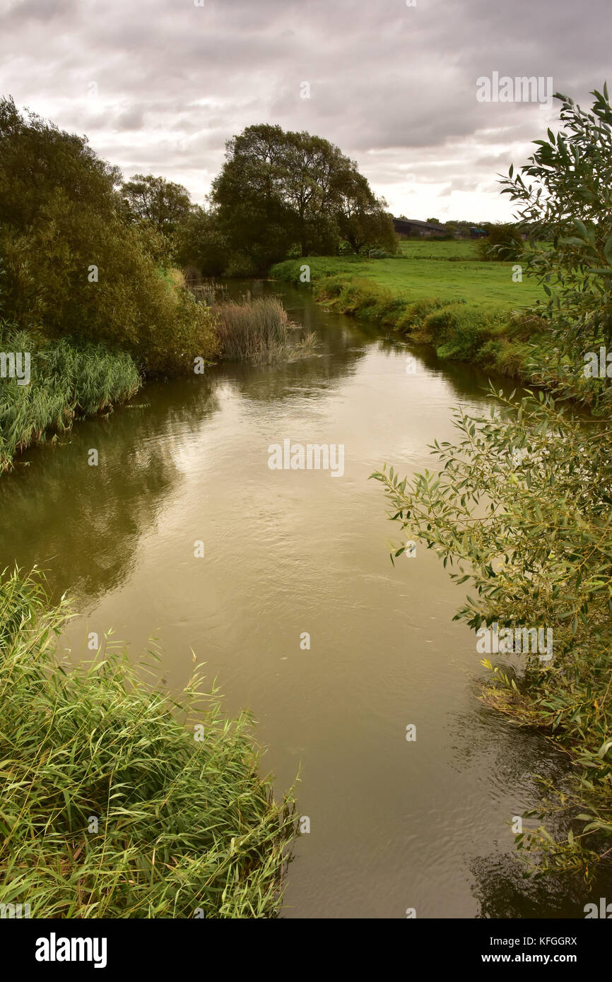 River Thames landscape near Lechlade, Wiltshire, England, on the Tames ...