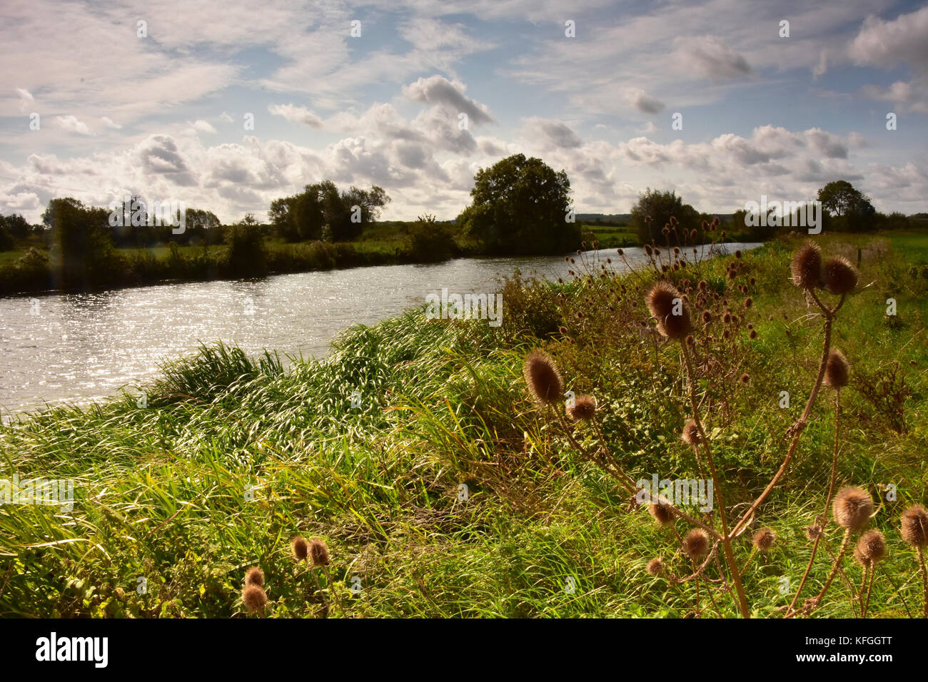 River thames riverbank hi-res stock photography and images - Alamy