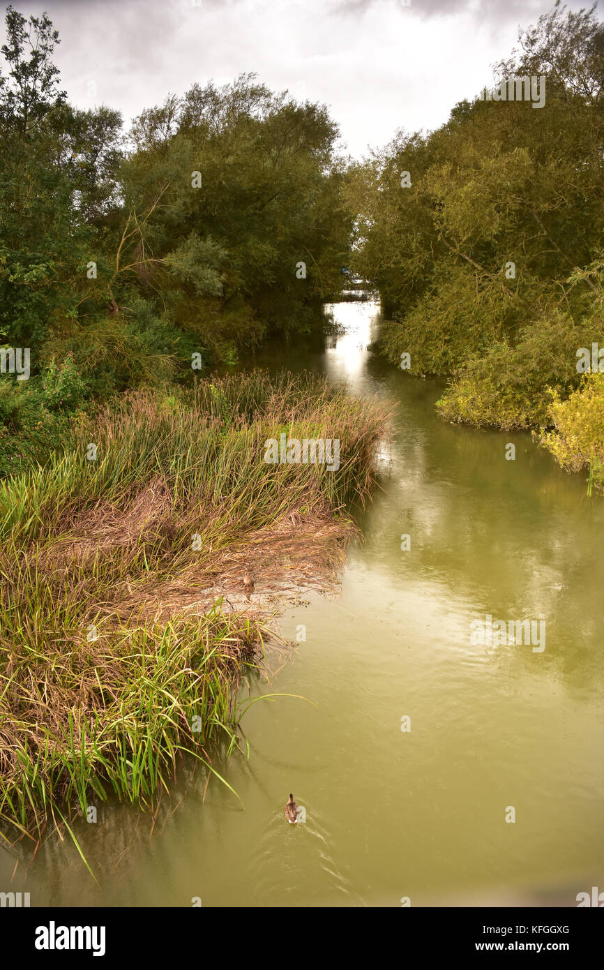 Thames path landscape hi-res stock photography and images - Alamy