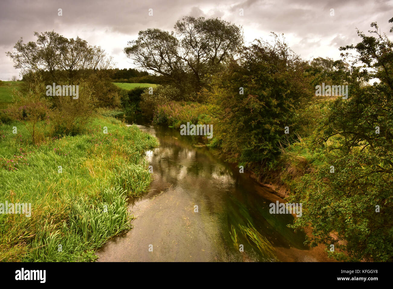 River Thames Landscape near Lechlade, Wiltshire, England, on the Thames ...
