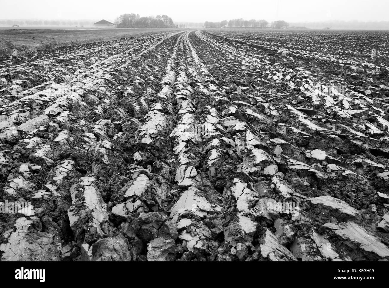 plowed land on field in dutch province of flevoland Stock Photo - Alamy