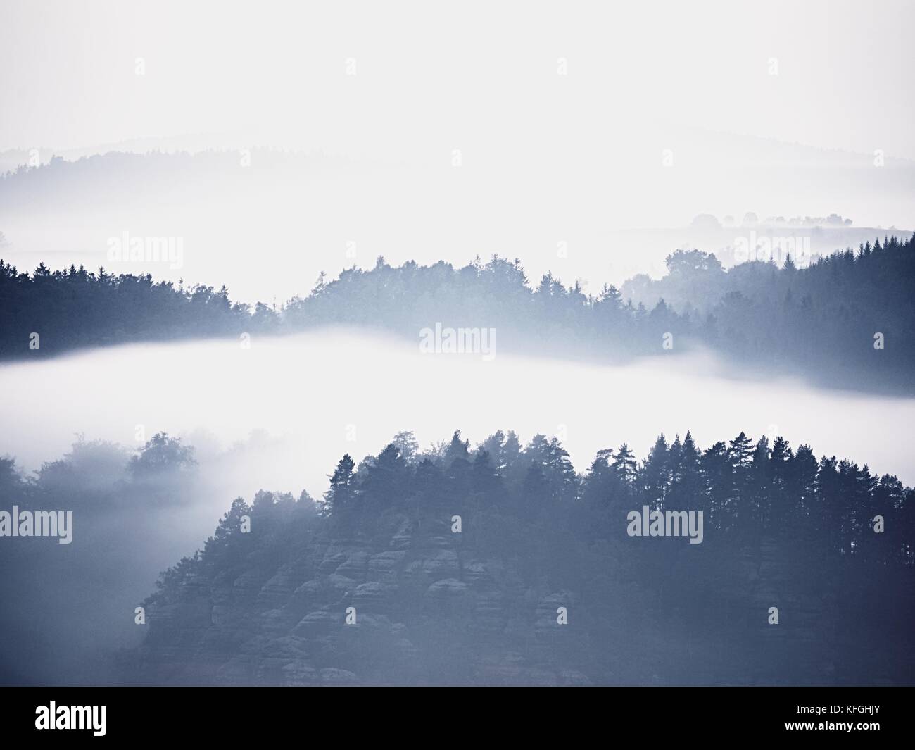 Cold misty blue morning. A minute before sunrise in a beautiful valley ...