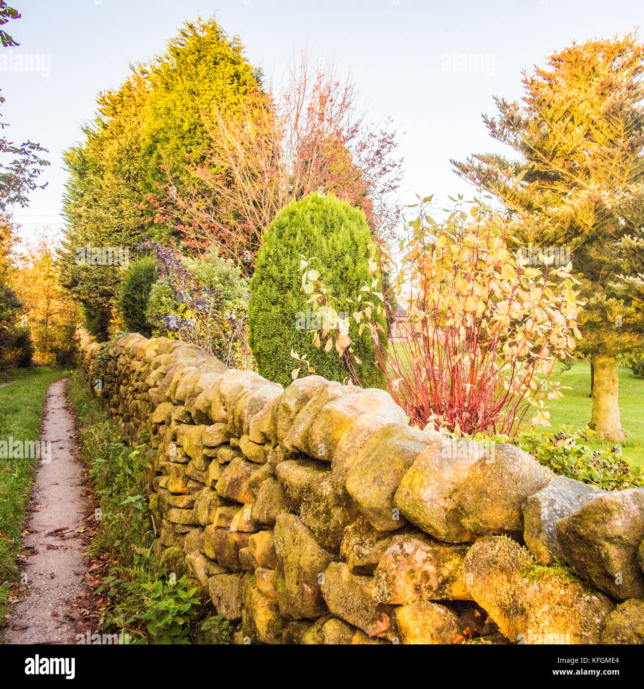 Dry stone wall & fields in Biddulph, Staffordshire, England Stock Photo ...