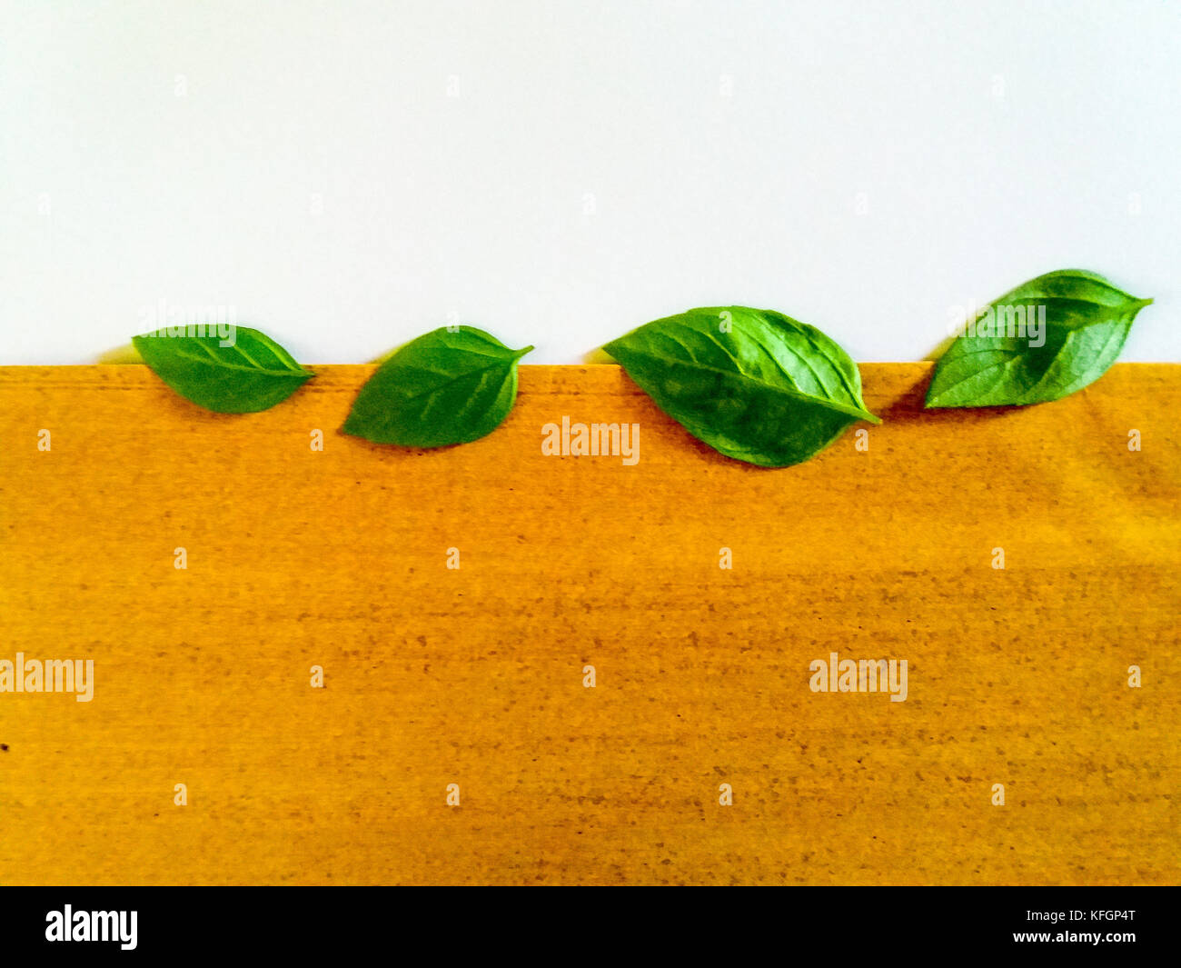leaf pattern arranged in a row Stock Photo - Alamy