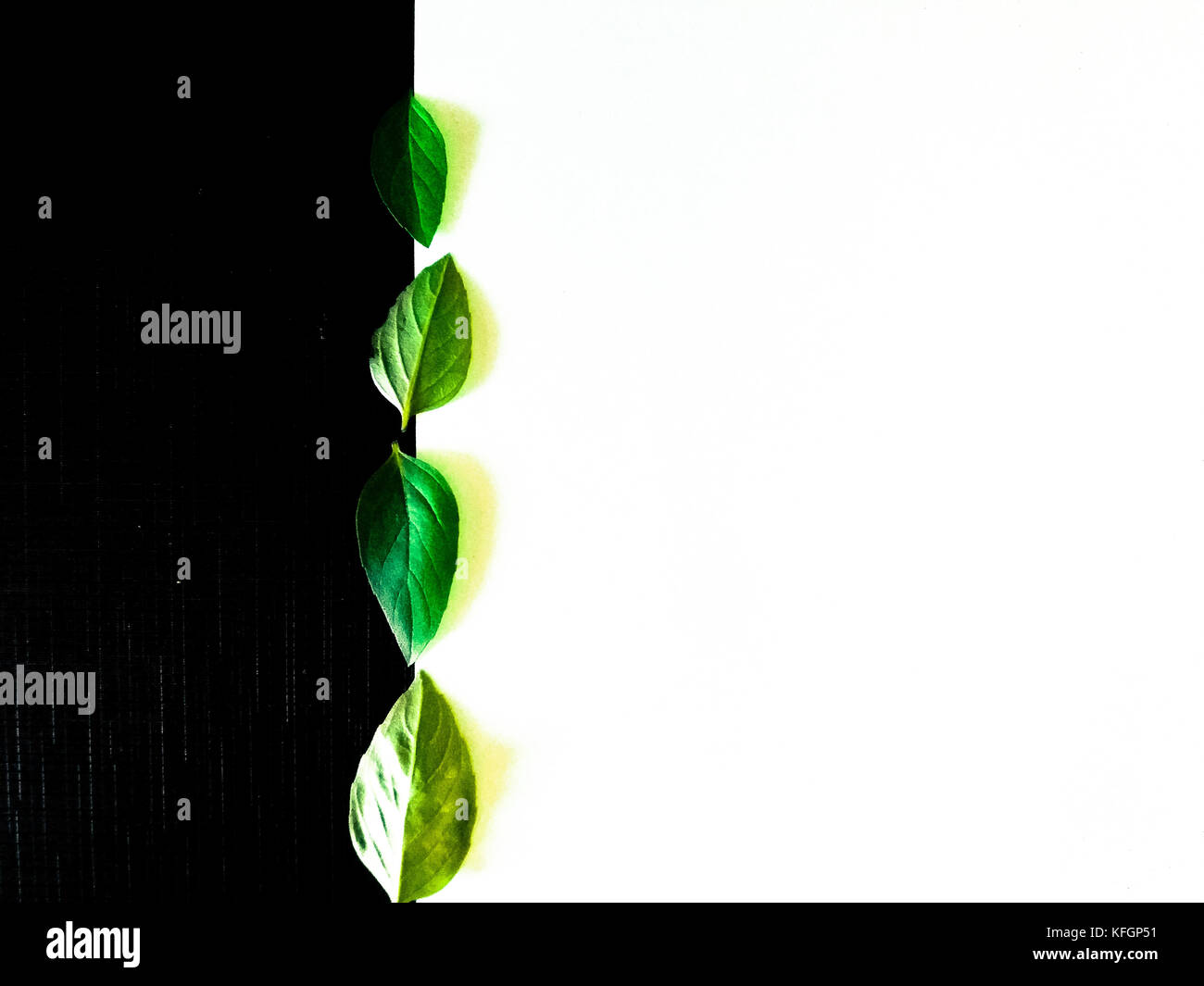 Are Arranged In A Frame High Resolution Stock Photography and Images ...