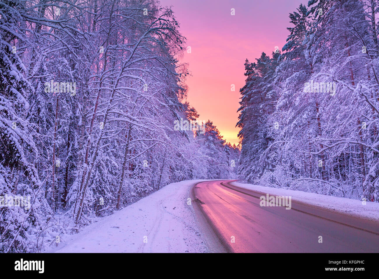 winter landscape with sunset,road and forest. path winter in rays of ...