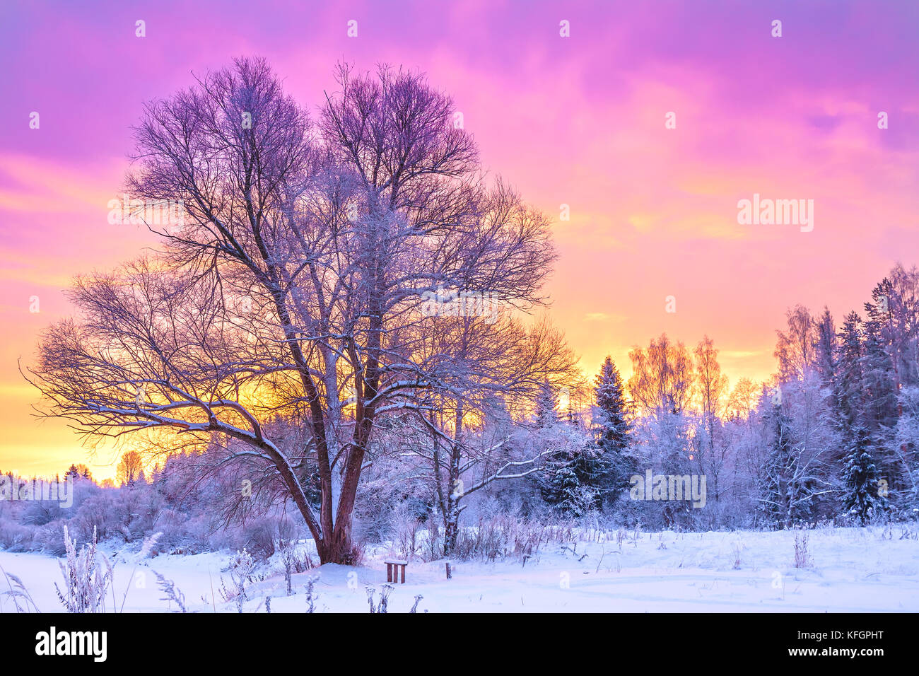 Beautiful Winter Landscapes