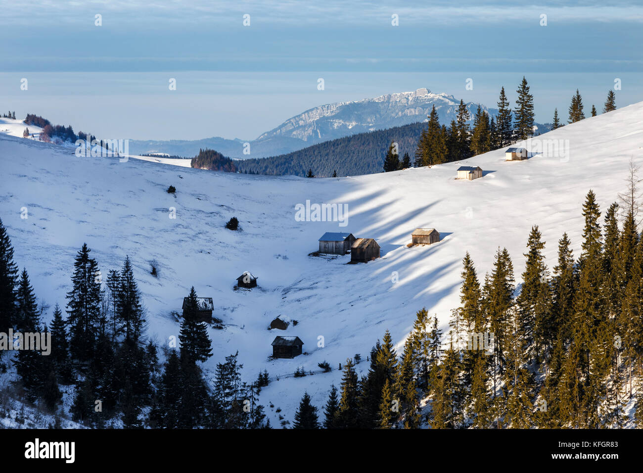 alpine winter countryside in evening sunlight, Transylvania Stock Photo ...