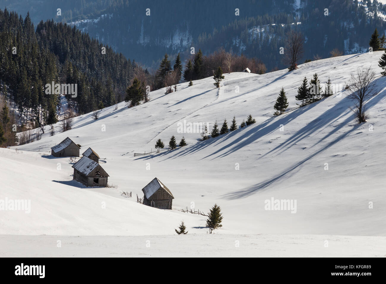 alpine winter countryside in evening sunlight, Transylvania Stock Photo ...
