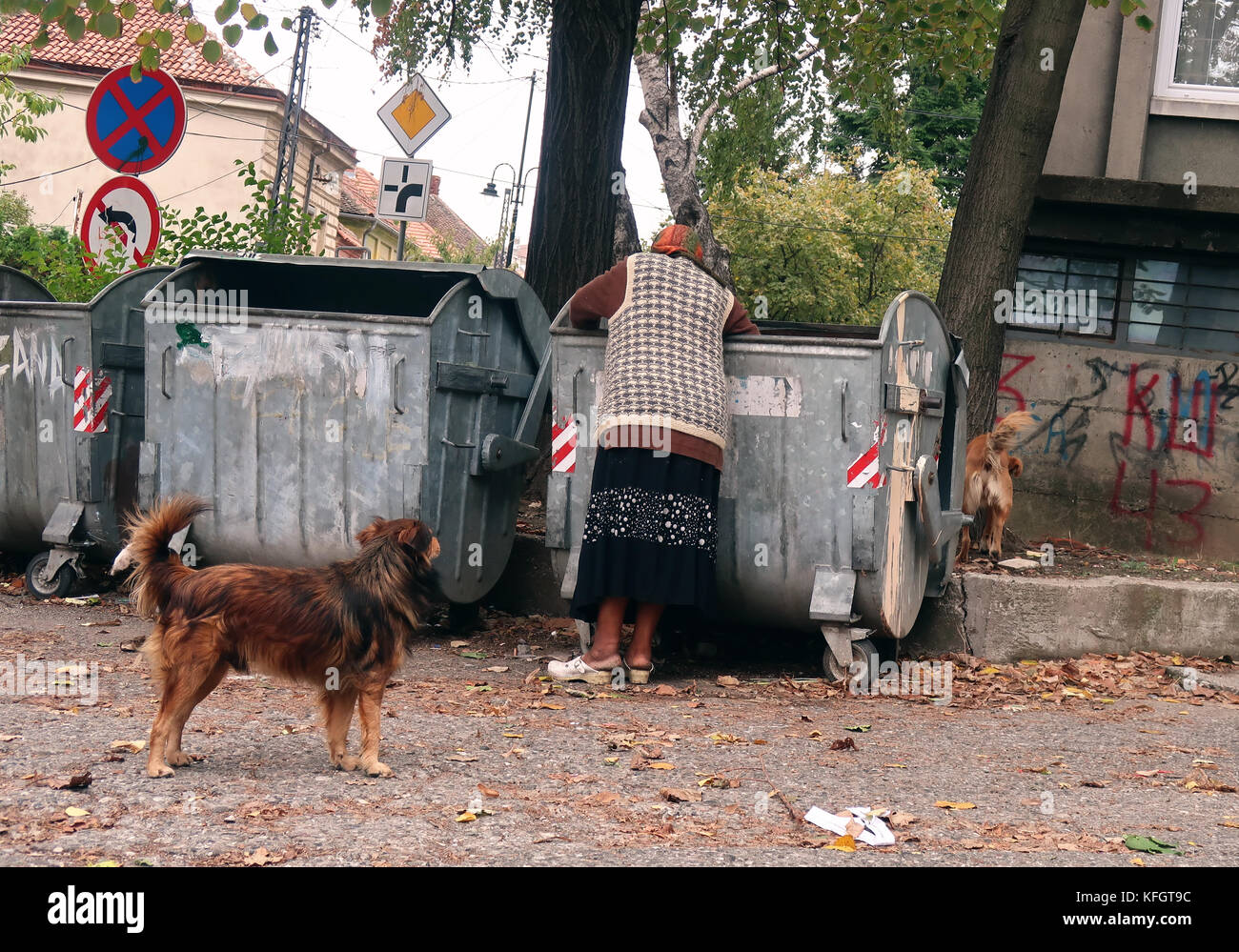 Poor woman digging out of garbage Stock Photo - Alamy