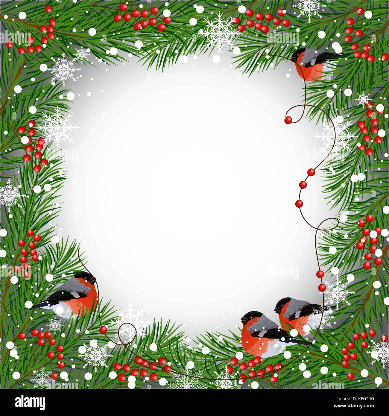 Winter frame with bullfinches Stock Vector Image & Art - Alamy