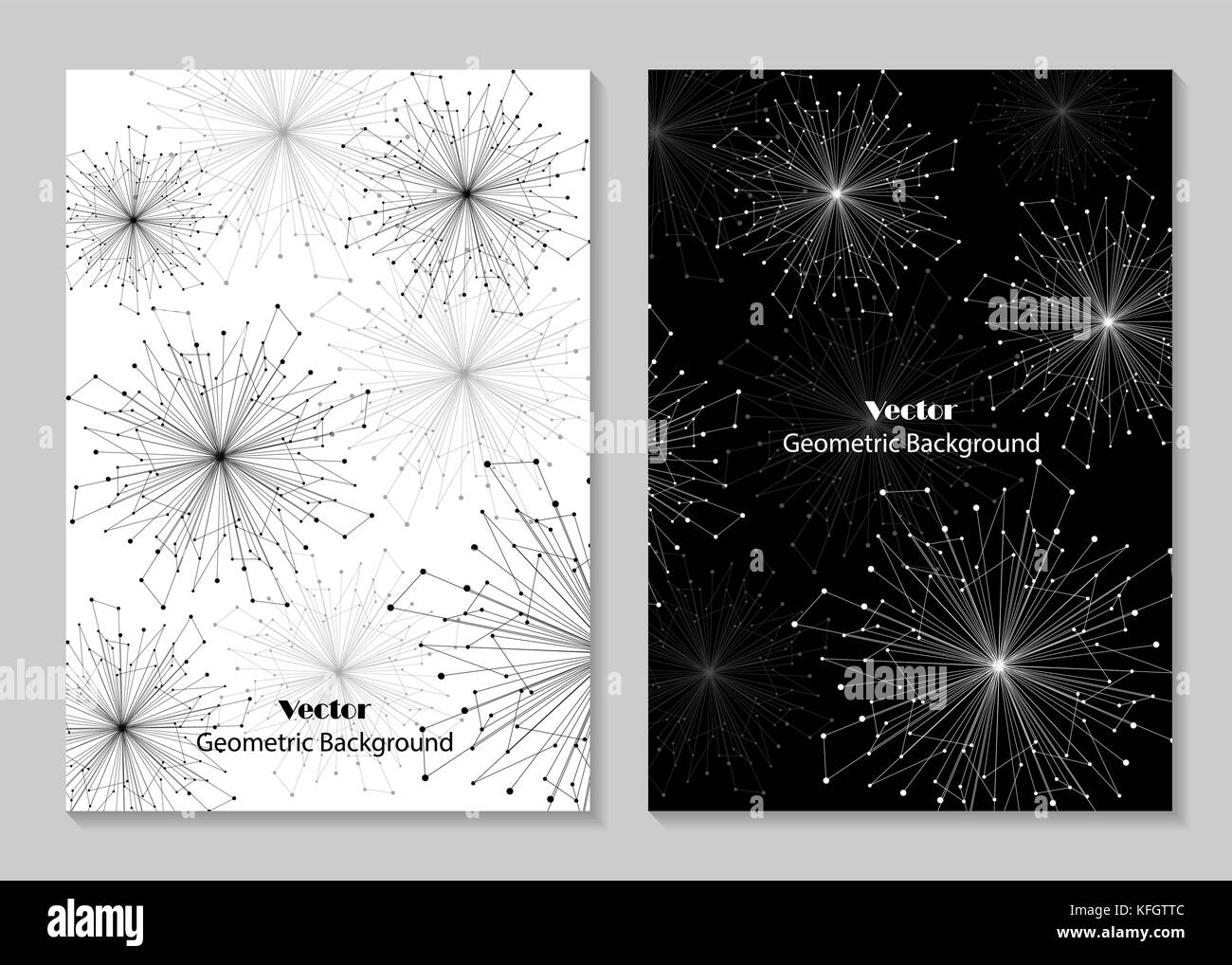 Biology Assignment Front Page