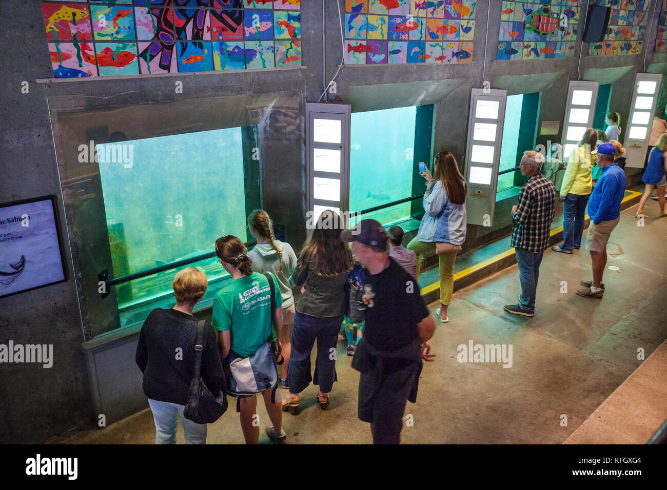 Salmon fish ladder hi-res stock photography and images - Alamy