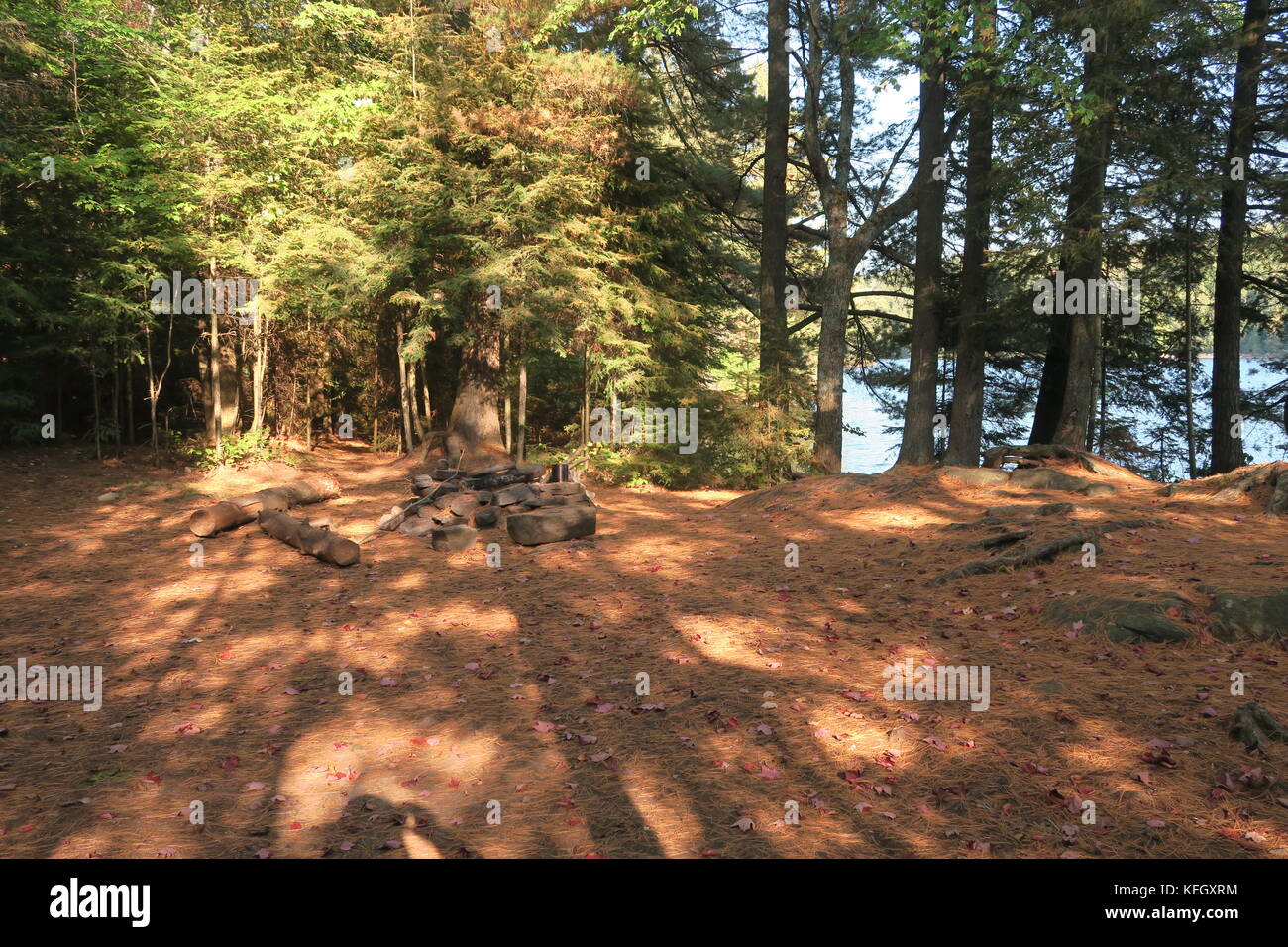 Ontario Algonquin Park Highland Backpacking Trail Stock Photo - Alamy