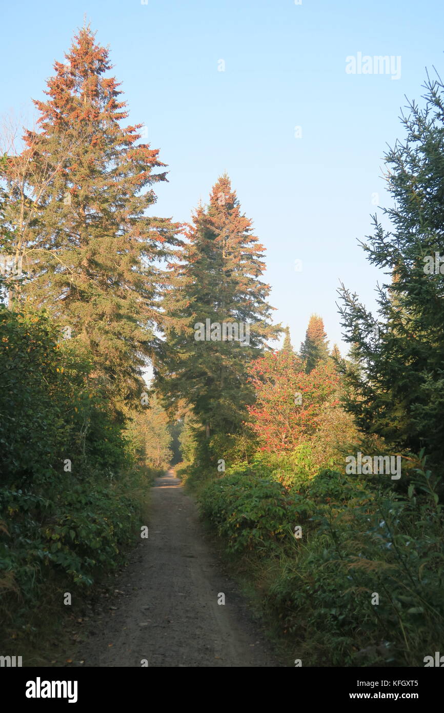 Highland backpacking trail hi-res stock photography and images - Alamy