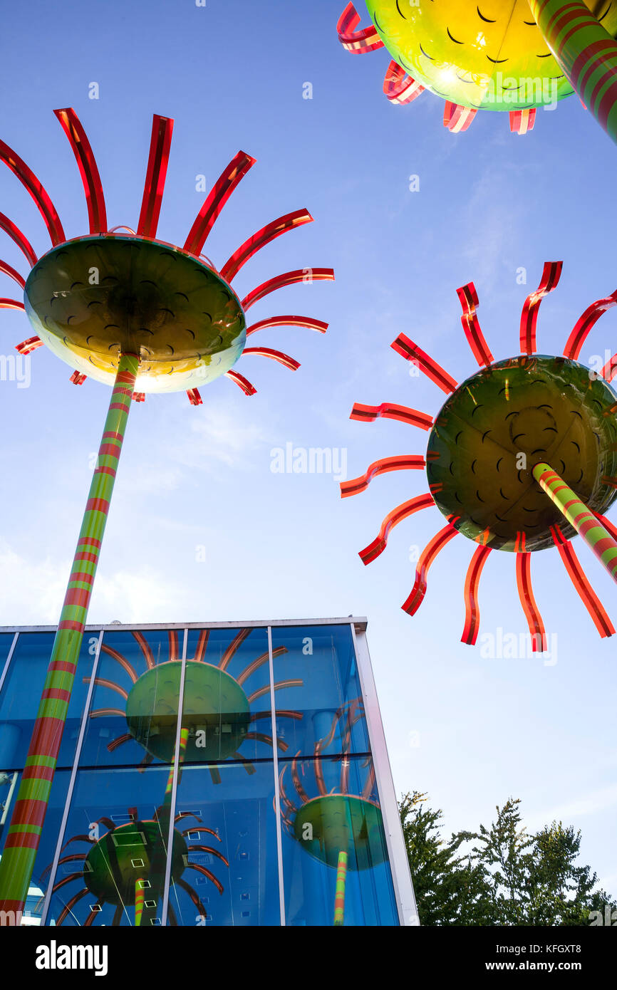 Sonic bloom display hi-res stock photography and images - Alamy