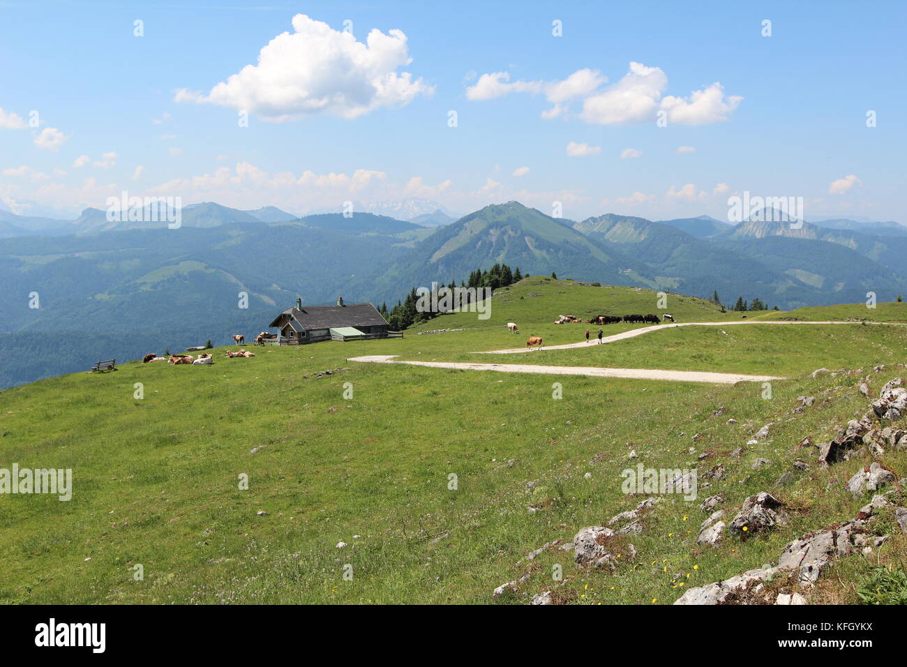 Panorama Of Schafberg High Resolution Stock Photography and Images - Alamy