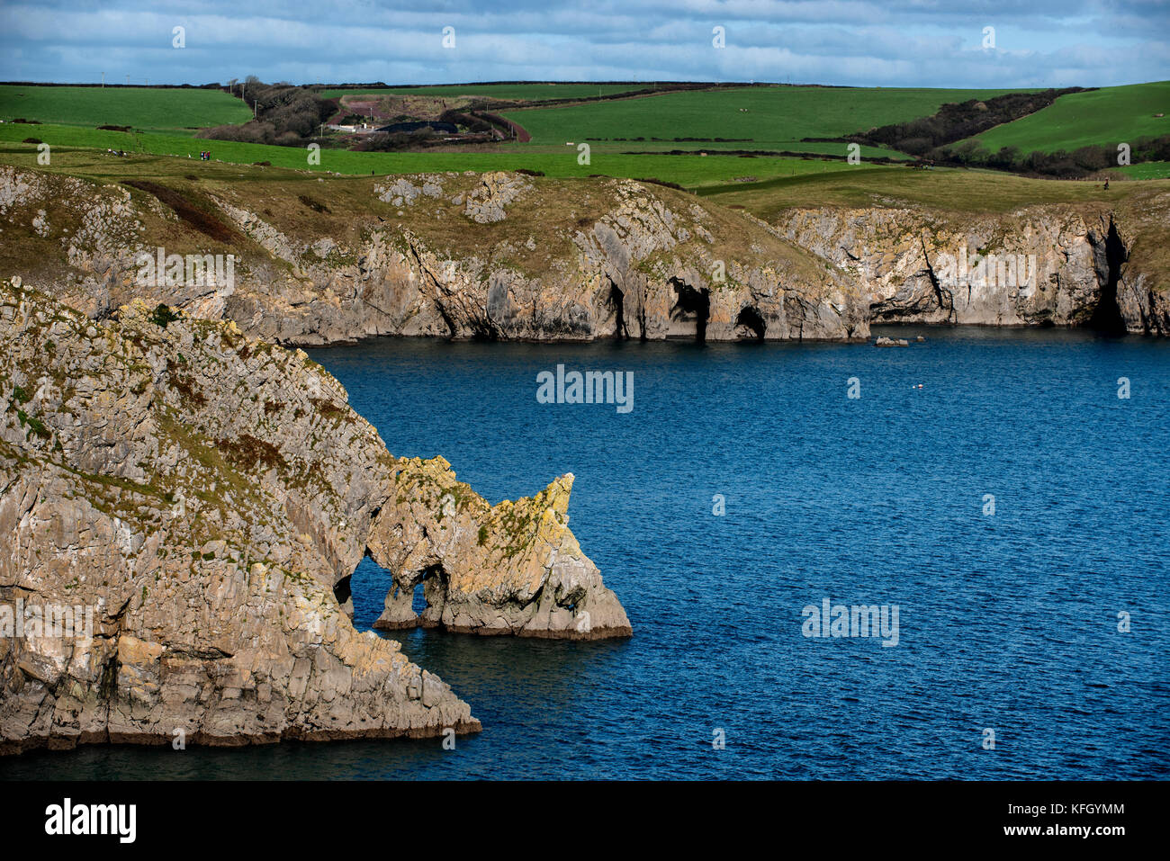 Stackpole Head headland and cliffs Pembrokeshire West Wales UK Stock ...