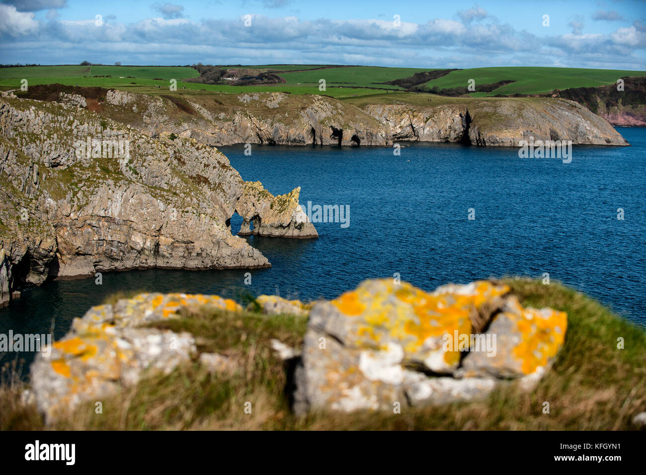 Stackpole Head headland and cliffs Pembrokeshire West Wales UK Stock ...