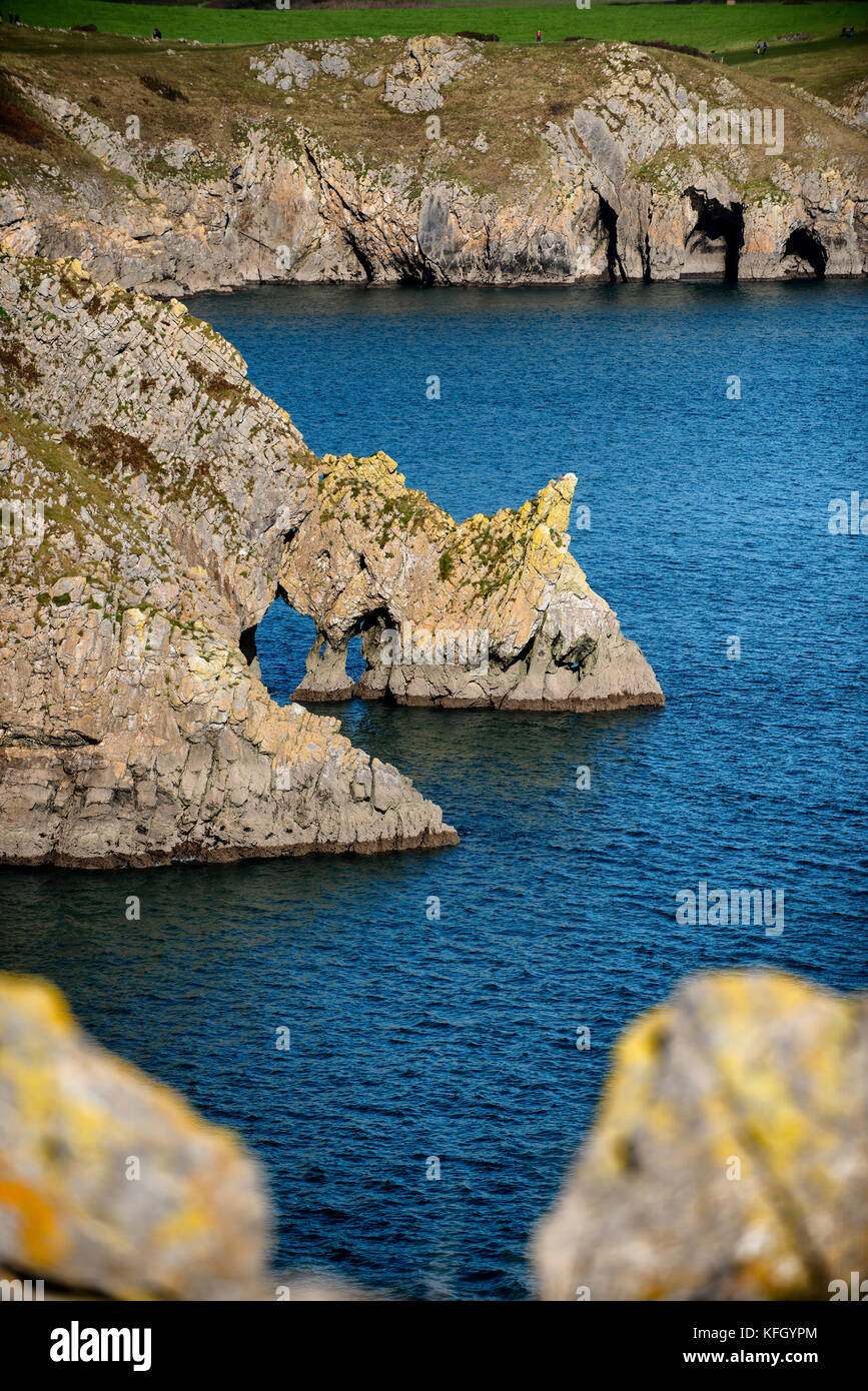 Stackpole Head headland and cliffs Pembrokeshire West Wales UK Stock ...