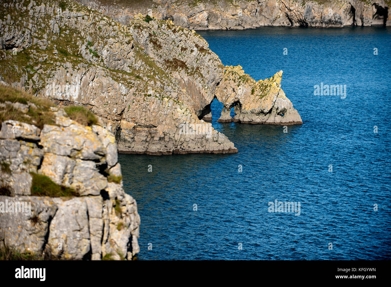 Stackpole Head headland and cliffs Pembrokeshire West Wales UK Stock ...