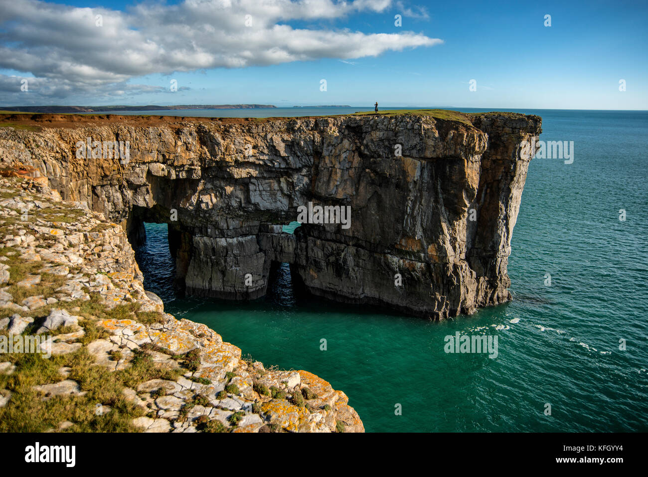 Stackpole Head headland and cliffs Pembrokeshire West Wales UK Stock ...