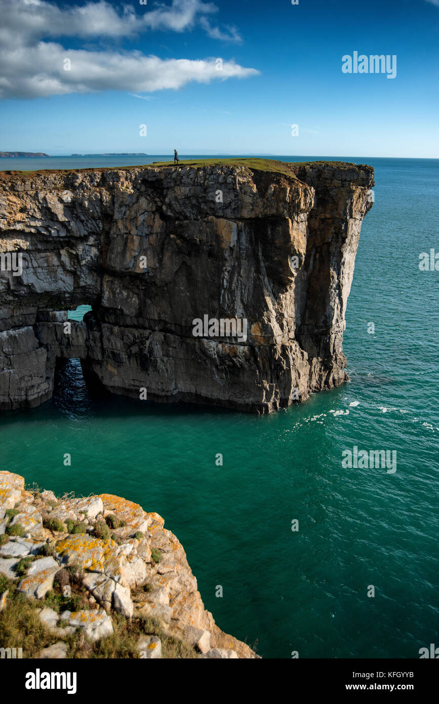 Stackpole Head headland and cliffs Pembrokeshire West Wales UK Stock ...