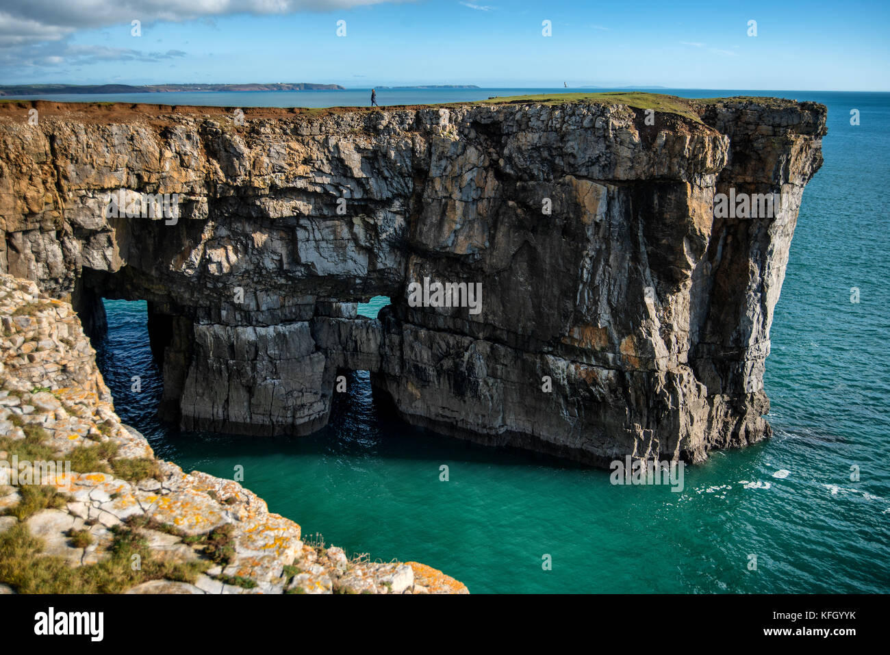 Stackpole Head headland and cliffs Pembrokeshire West Wales UK Stock ...