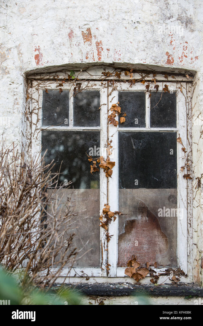 Old window in a derelict house Stock Photo - Alamy