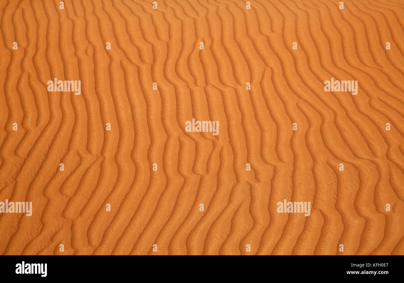 Red sand "Arabian desert" near Dubai, United Arab Emirates Stock Photo ...