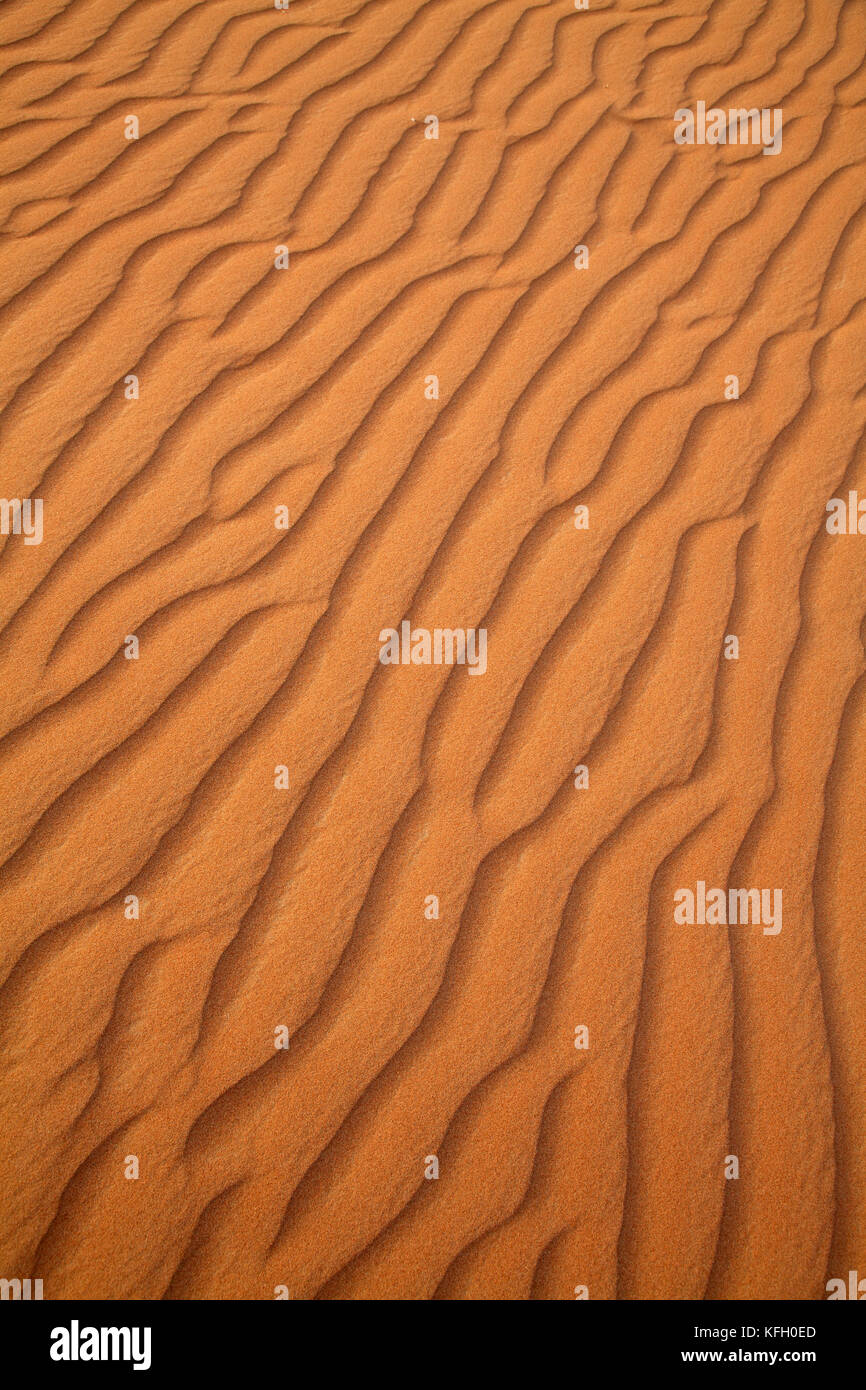 Red sand "Arabian desert" near Dubai, United Arab Emirates Stock Photo ...