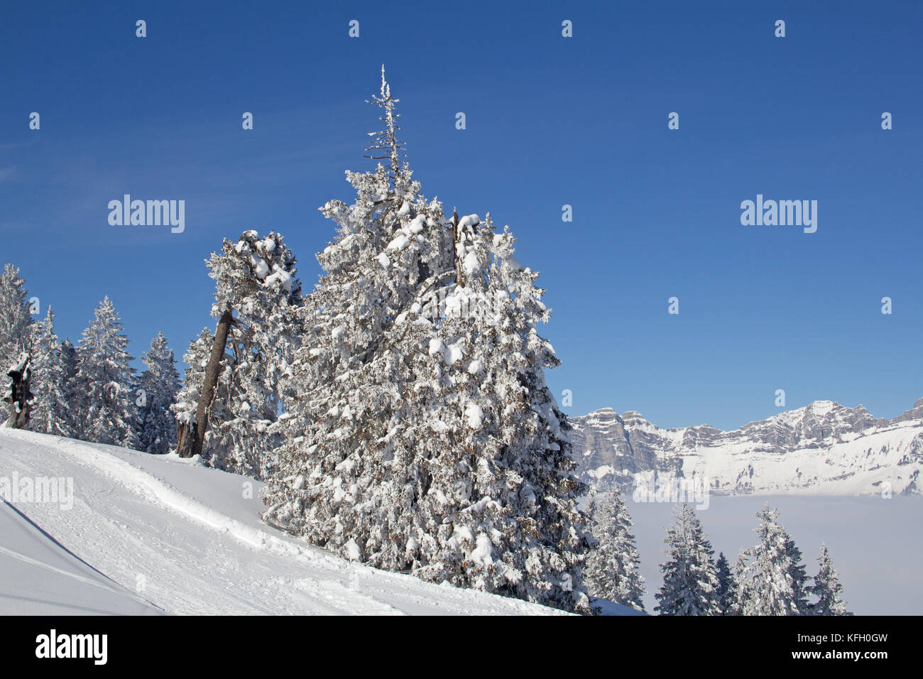 Winter in the swiss alps, Switzerland Stock Photo - Alamy