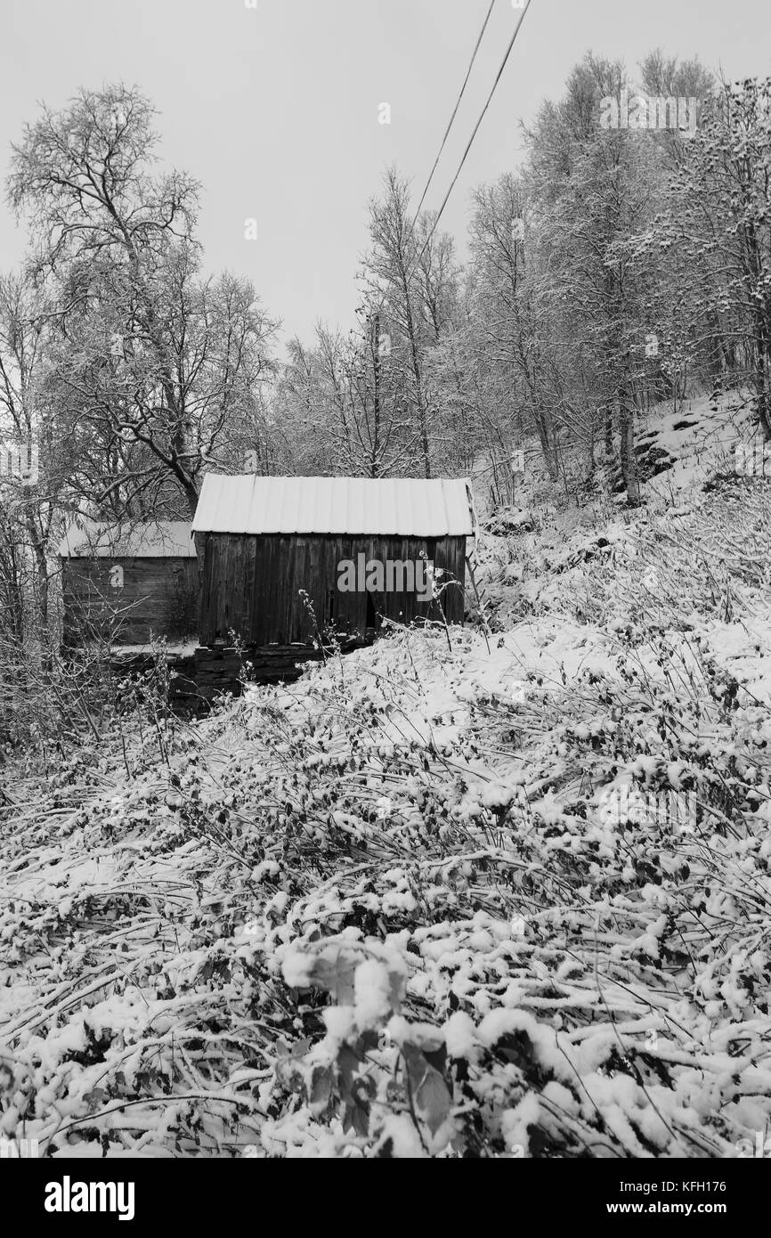 Grey barn hi-res stock photography and images - Alamy