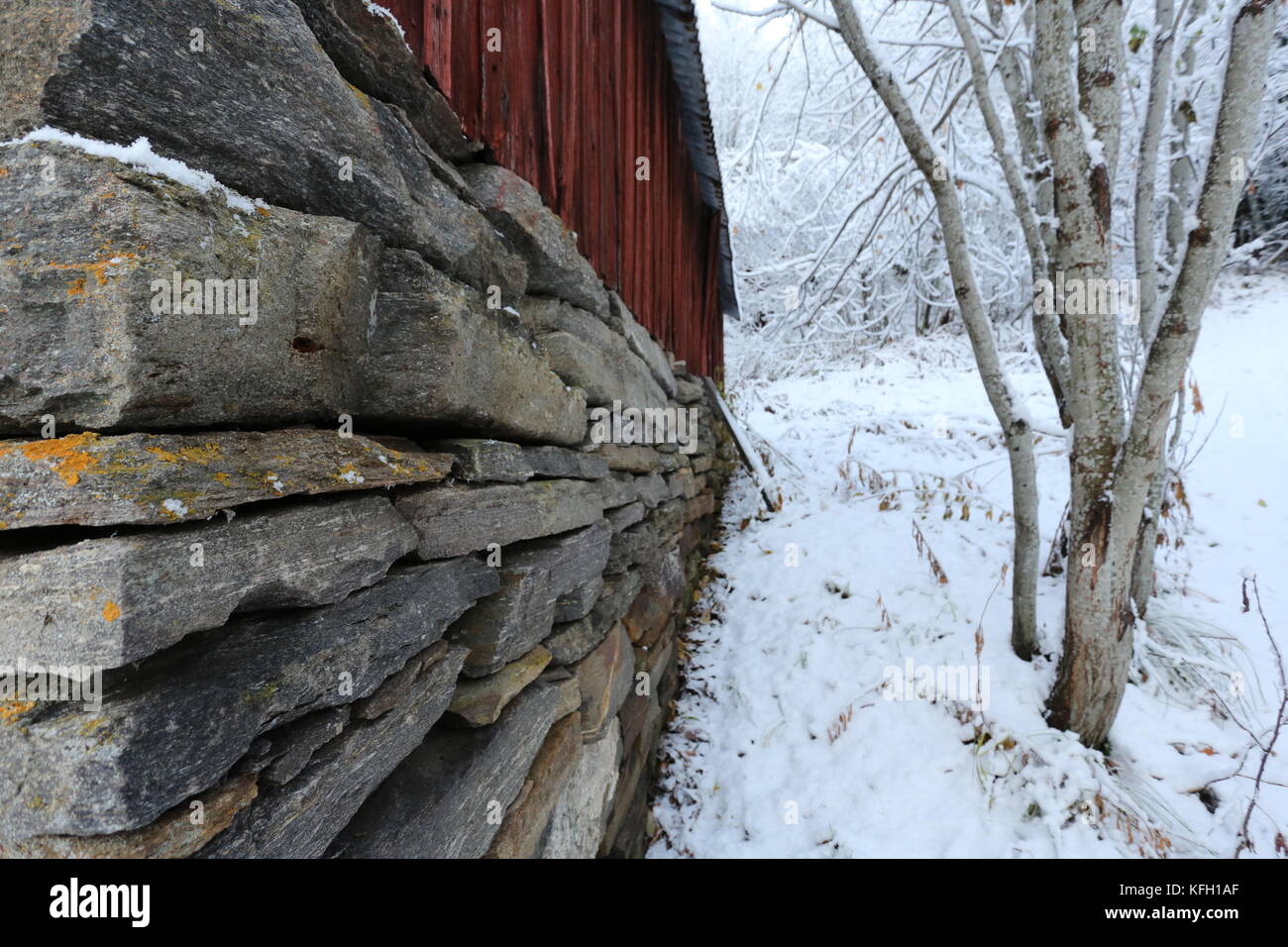 New forest stone hi-res stock photography and images - Alamy