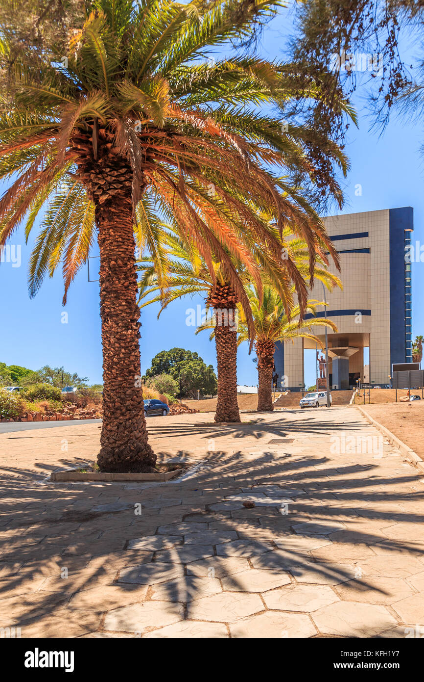 Rows of palm trees and modern building on the central street of ...