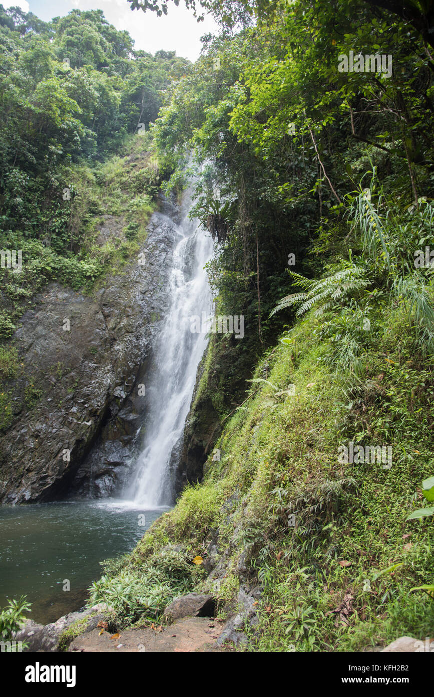Magical waterfall with rock face and pool surrounded by lush flora in ...