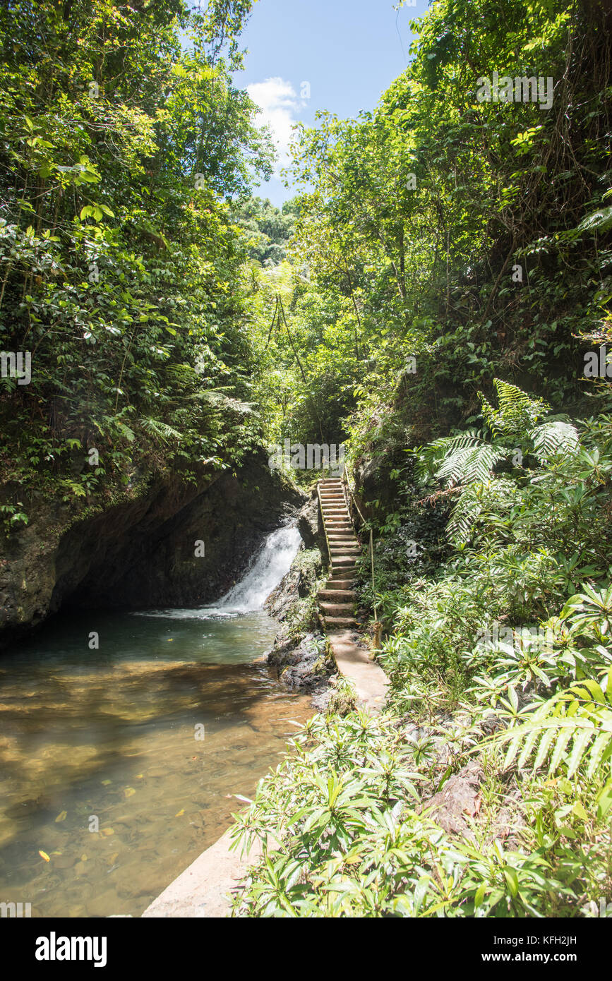 Cascading waterfall flowing into the Navua River inlet with narrow path ...