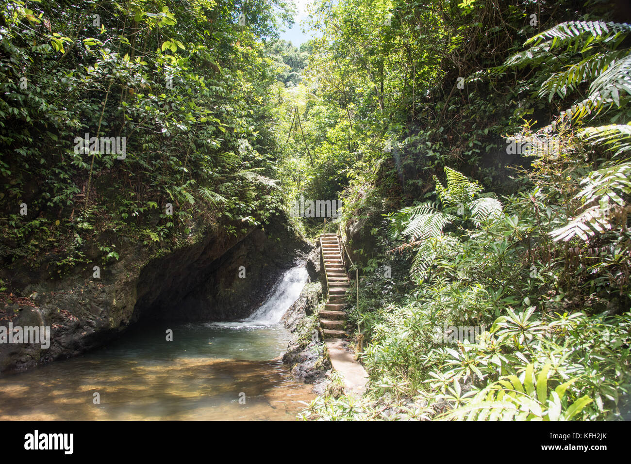 Cascading waterfall flowing into the Navua River inlet with narrow path ...