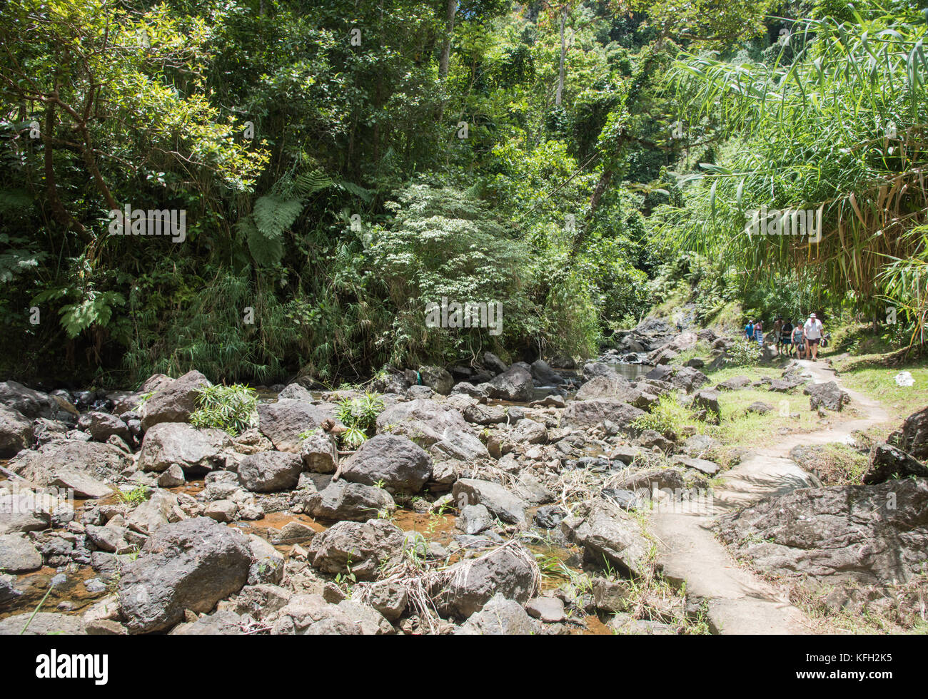 SUVA,VITI LEVU,FIJI-NOVEMBER 28,2016: Group of people hiking narrow ...