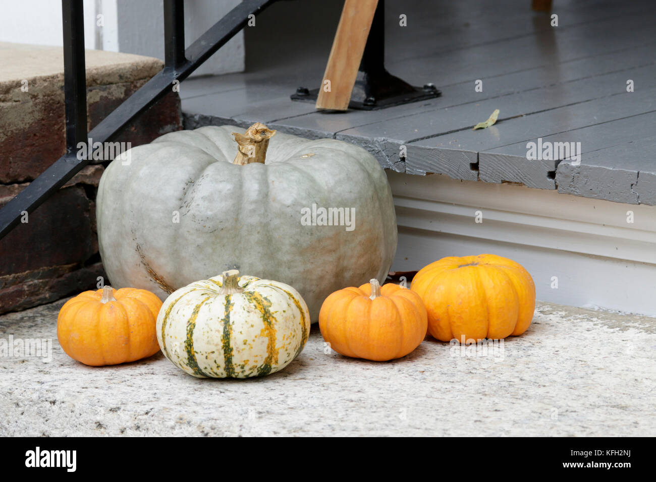 Grey pumpkins hi-res stock photography and images - Alamy