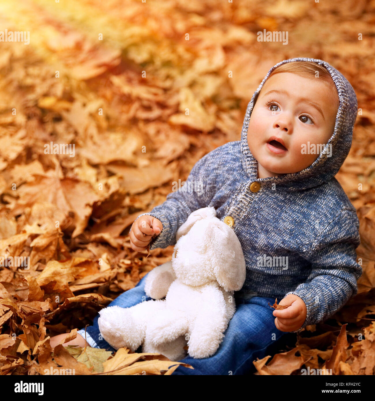 Little boy sitting on the ground covered with dry leaves in the park ...