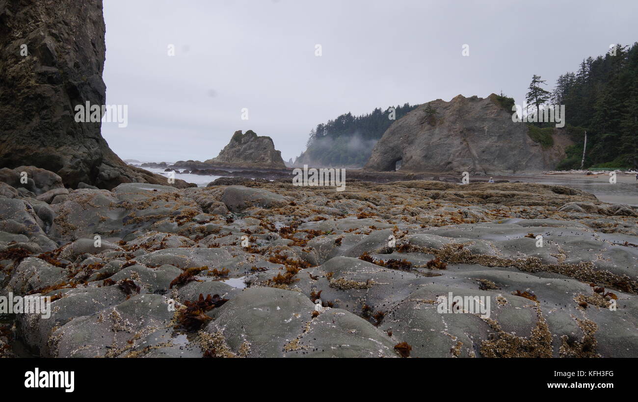 The Great Pacific Northwest Stock Photo - Alamy