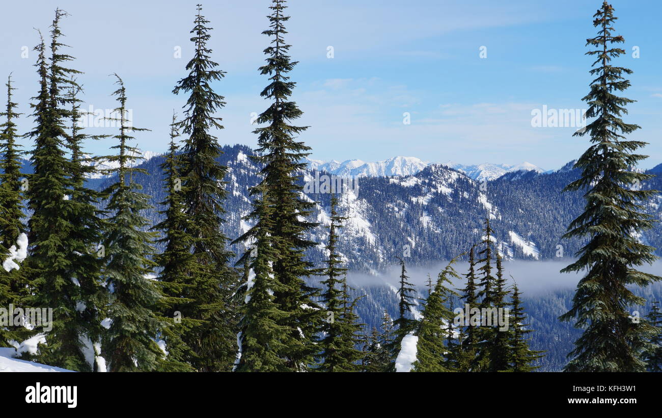 Hiking in the Pacific Northwest, Washington State Stock Photo - Alamy