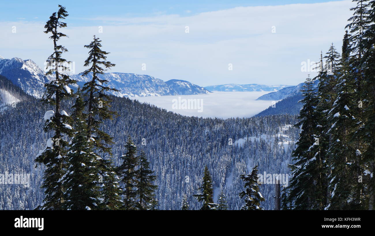 Hiking in the Pacific Northwest, Washington State Stock Photo - Alamy