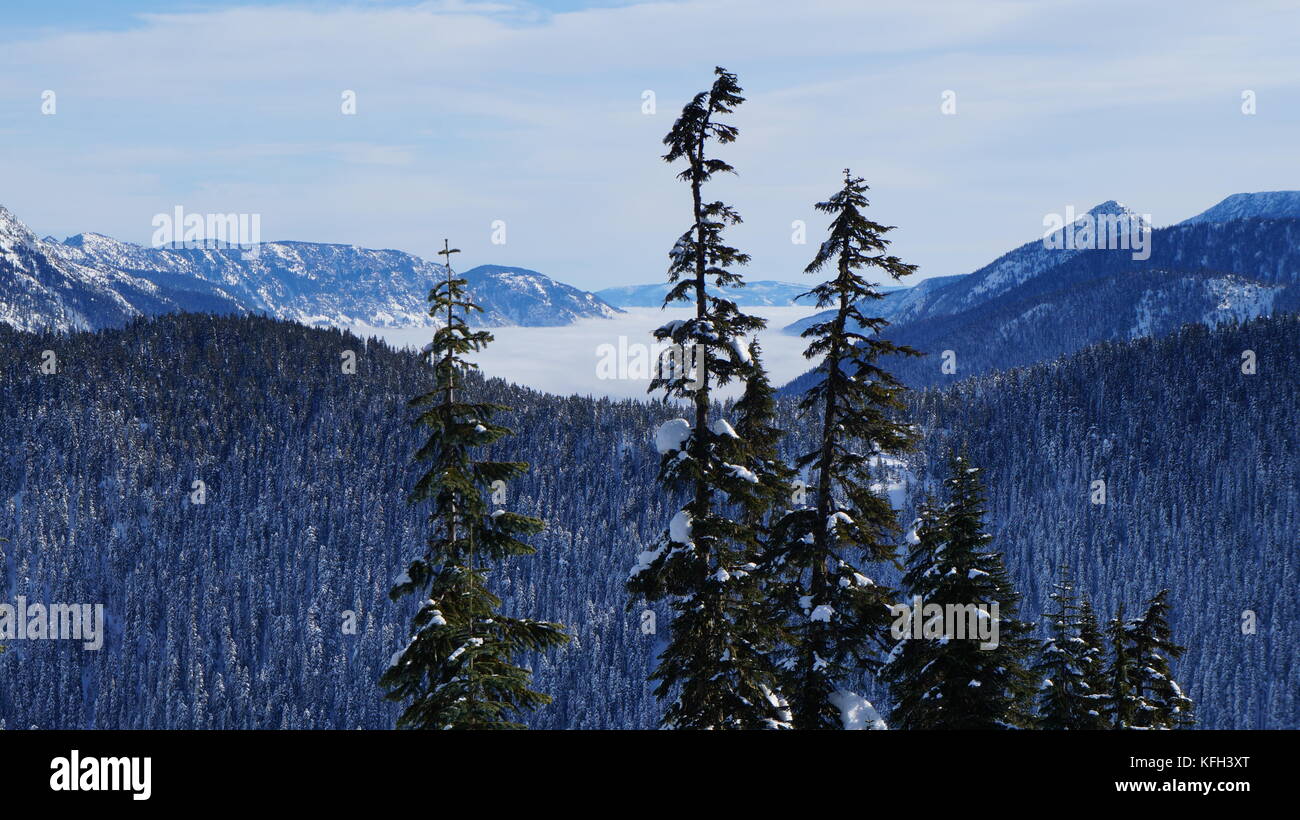 Hiking in the Pacific Northwest, Washington State Stock Photo - Alamy