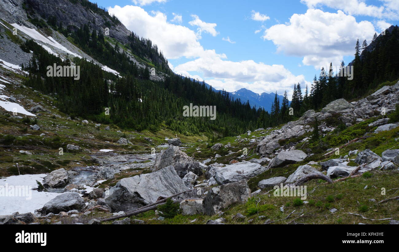 Hiking in the Pacific Northwest, Washington State Stock Photo - Alamy