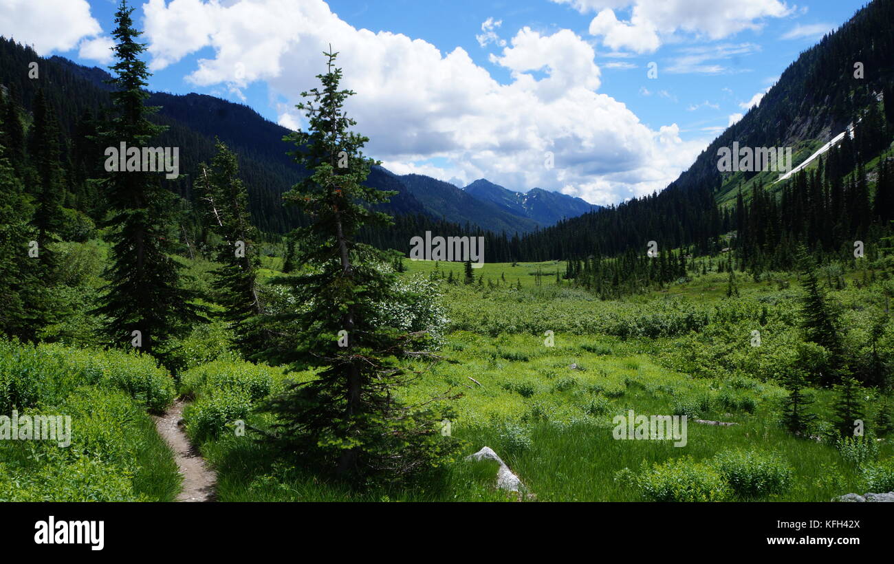 Hiking in the Pacific Northwest, Washington State Stock Photo - Alamy