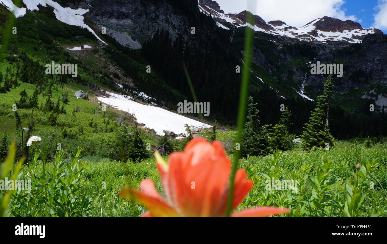 Hiking in the Pacific Northwest, Washington State Stock Photo - Alamy