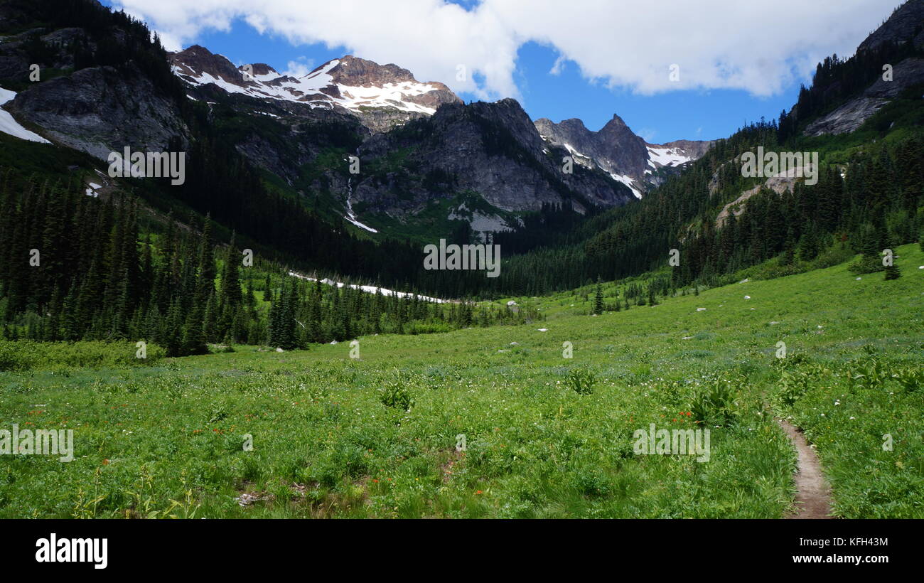 Hiking in the Pacific Northwest, Washington State Stock Photo - Alamy