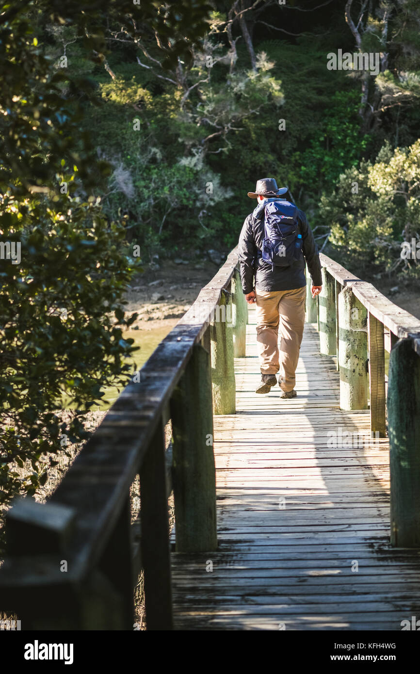 Man peering over the side of a footbridge in New Zealand Stock Photo ...
